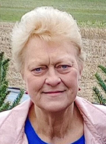 Brenda Kay Long | News, Sports, Jobs - Marietta Times